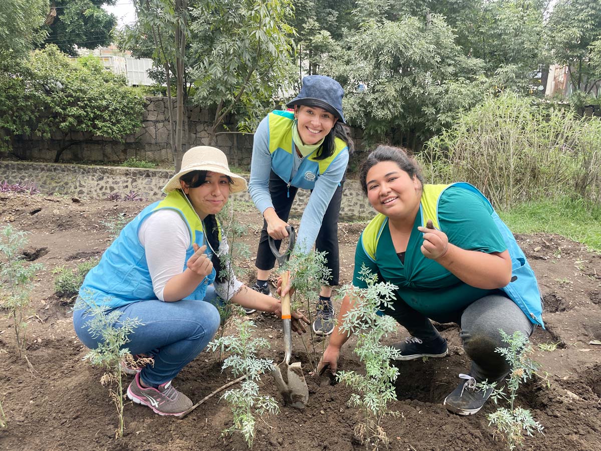 Planting Trees to Prevent Desertification in Mexico City - ASEZ