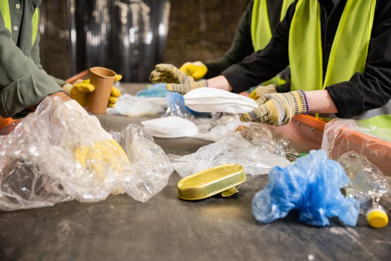 World Environment Day: Ending Plastic Pollution - ASEZ